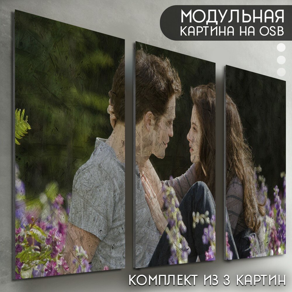 Модульная картина на рельефной доске ОСП "Фильм Сумерки ( Сага, Белла, Эдвард, Вампиры, Оборотни) - 6592"