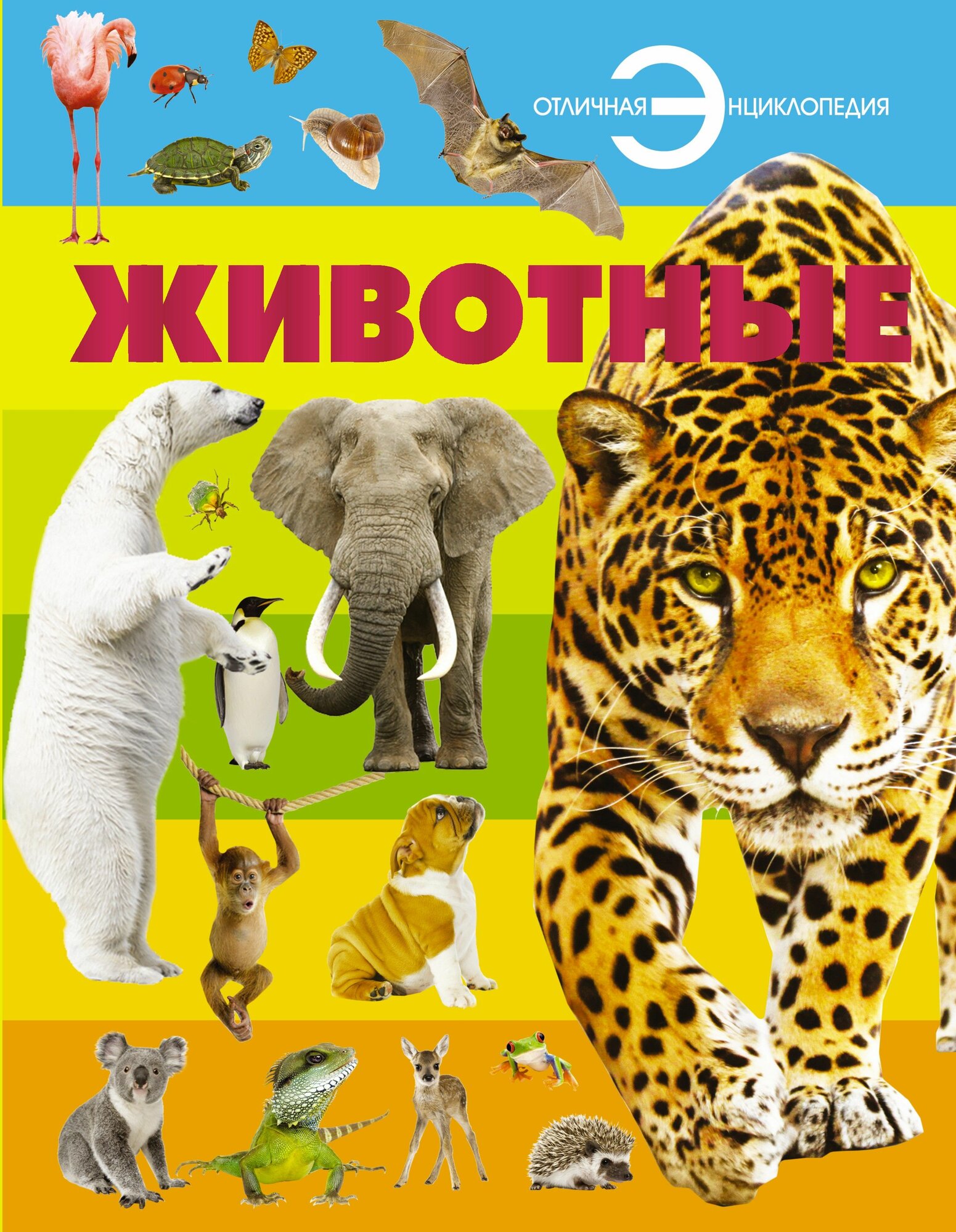 Животные.