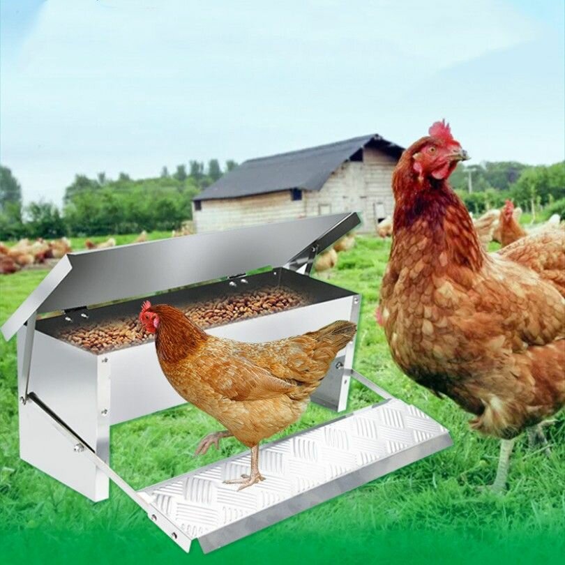 Автоматический корм для кур
