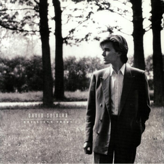 Sylvian David "Виниловая пластинка Sylvian David Brilliant Trees"