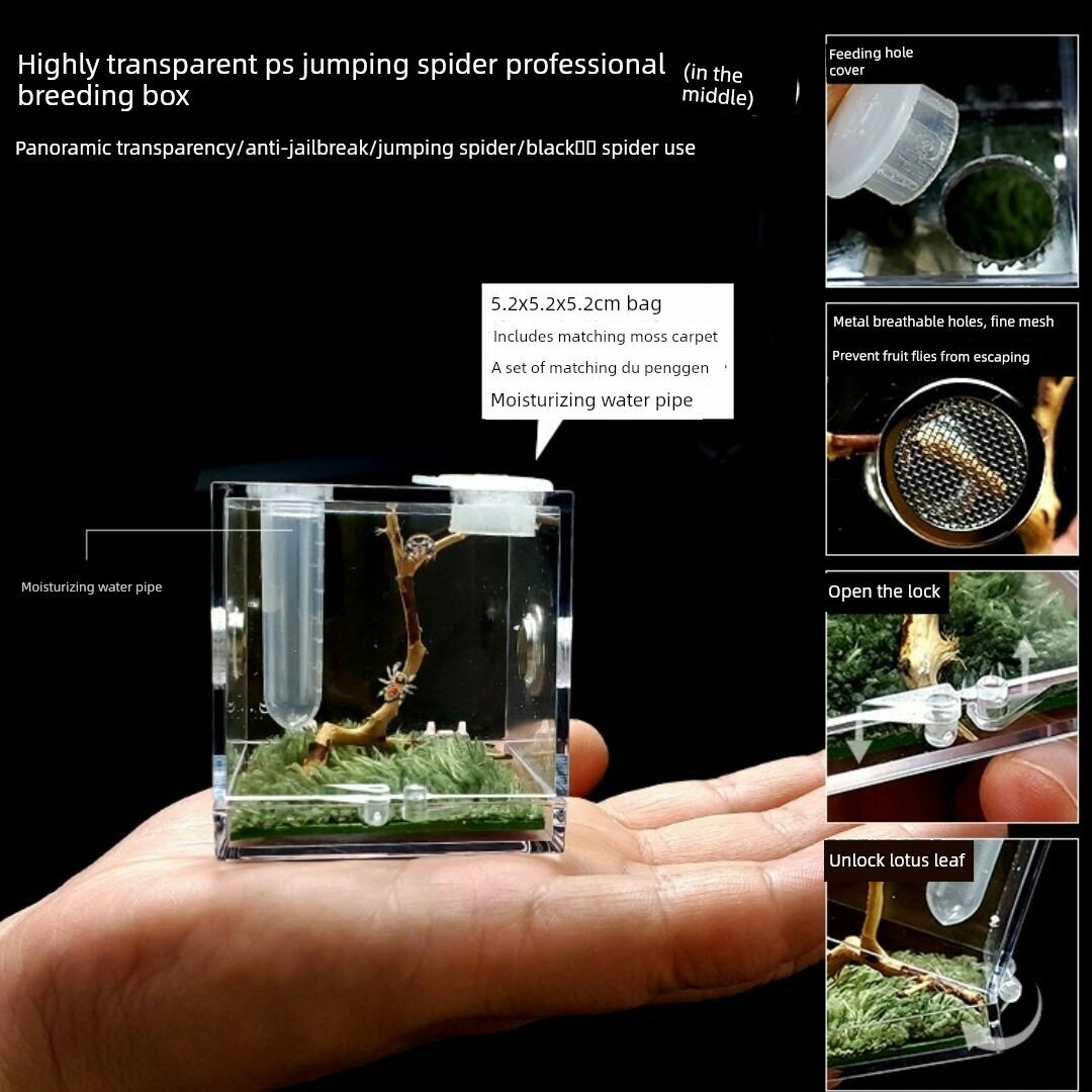 Клетка для разведения прыгающих пауков, премиум-террариум для пауков, для цикад, стрекоз, высокопрозрачный контейнер