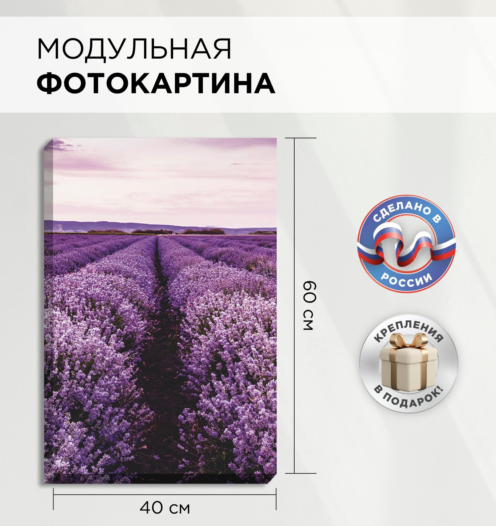 Картина 40х60см, Фотокартина, Модульная "Лаванда"