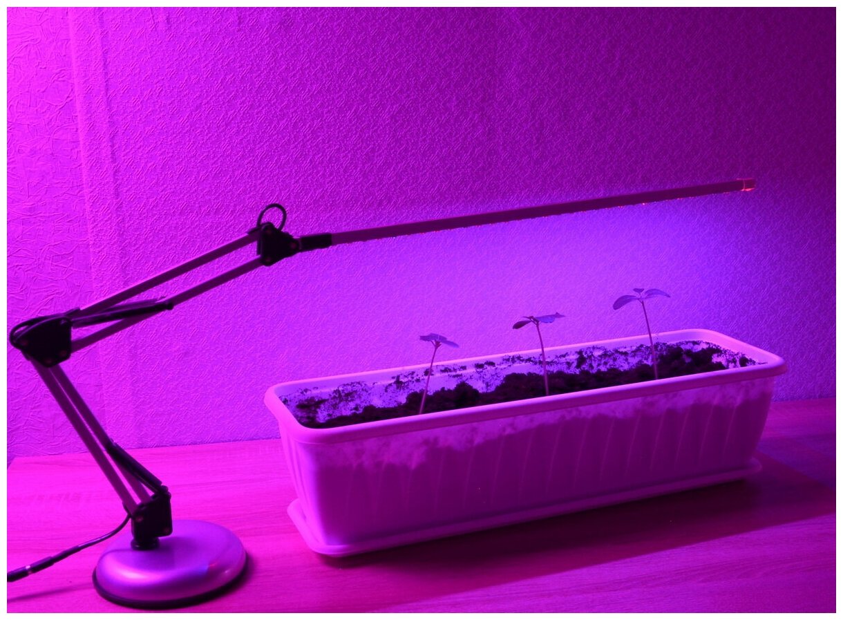 Фитосветильник настольный "Аламак" для досветки цветов и выращивания рассады с лучом 40 см