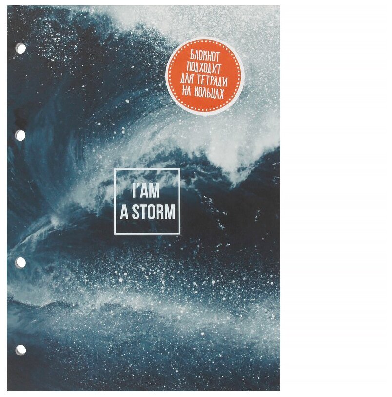 Be Smart Блокнот A5 140x198 мм 80 л с отверстиями под кольцевой механизм Storm N1985-AJ23 точка