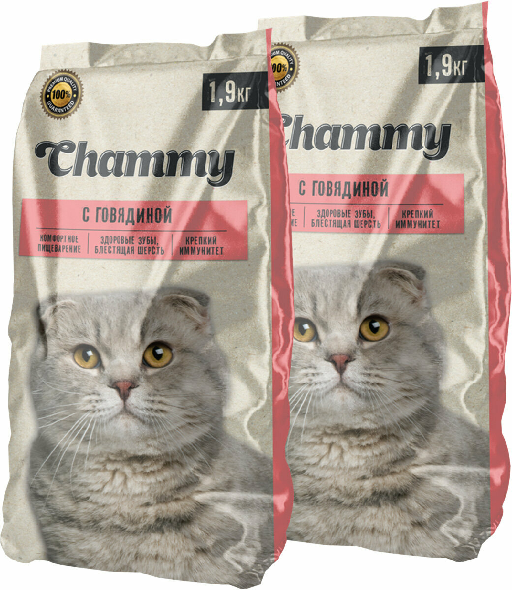 CHAMMY для взрослых кошек с говядиной (1,9 + 1,9 кг)