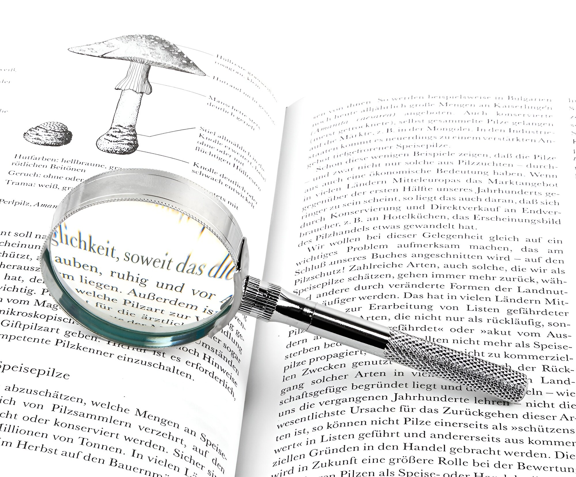 Лупа Veber 1030 (5х, 50мм), многофункциональная лупа с ручкой