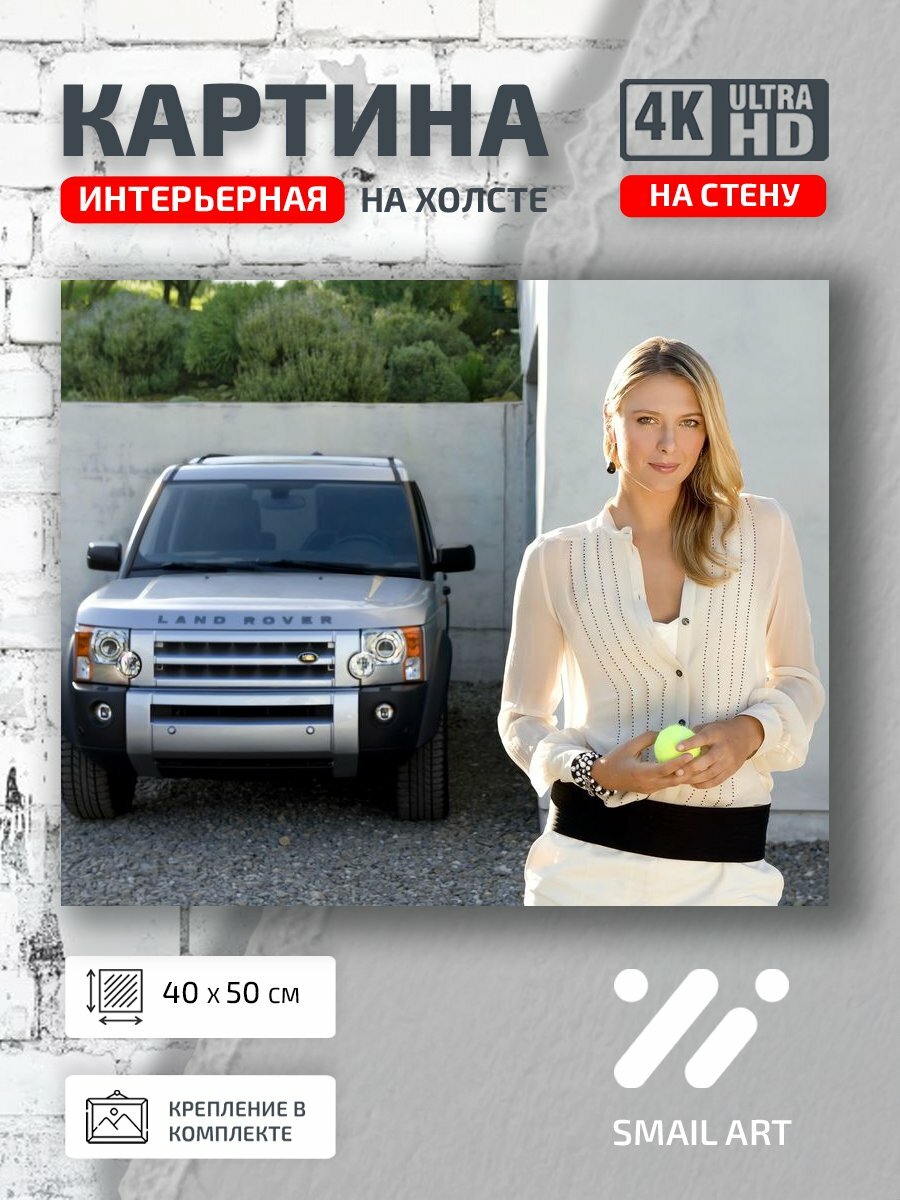 Картина на холсте интерьерная 40 на 50 на стену Возле Rovera для спальни портрет интерьер