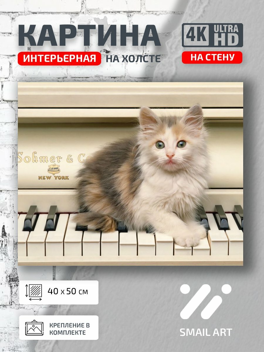 Картина на холсте интерьерная 40 на 50 на стену Пианино Animal для гостиной animal style