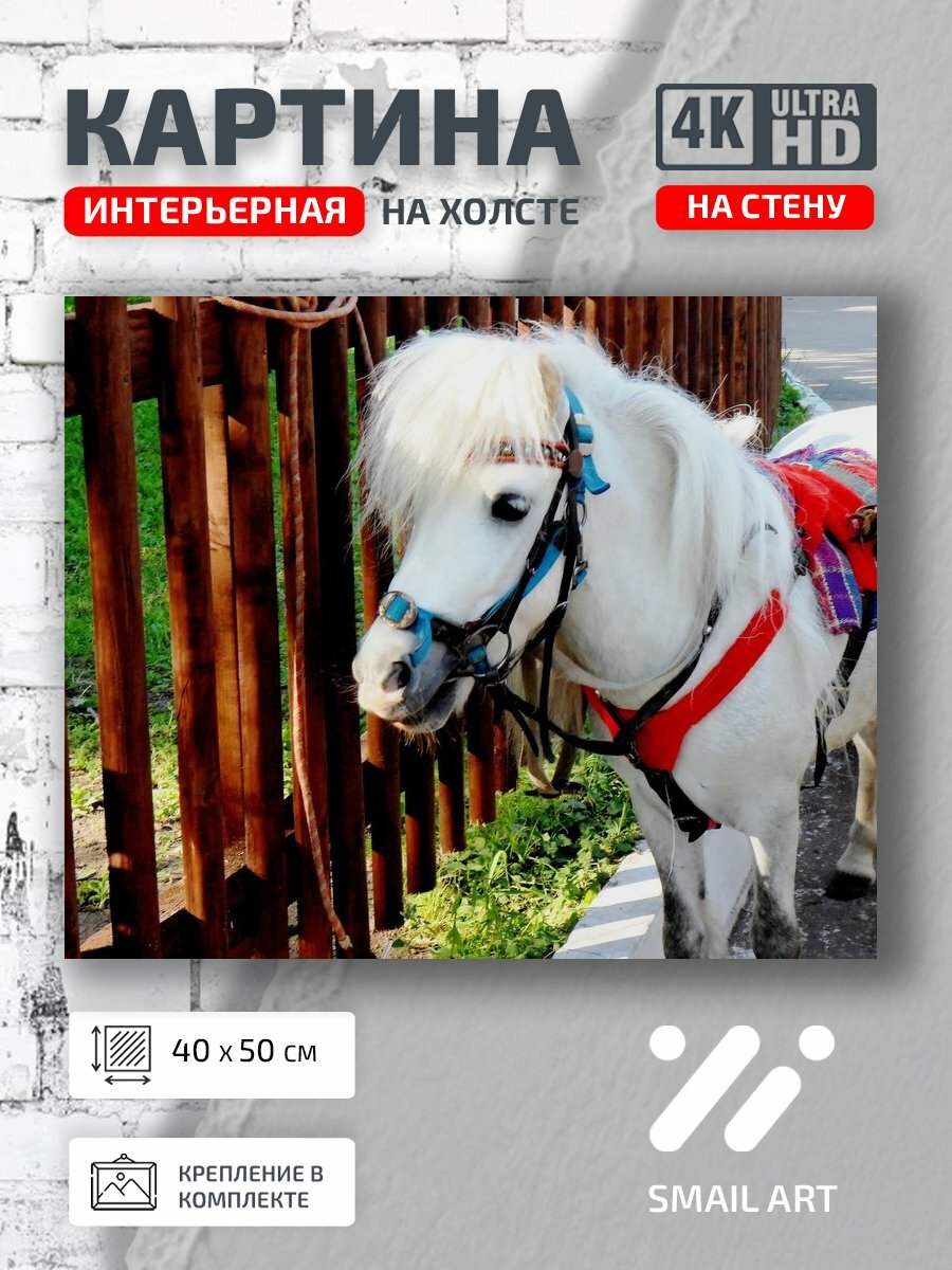 Картина на холсте интерьерная 40 на 50 на стену Пони Mood для спальни атмосфера интерьер
