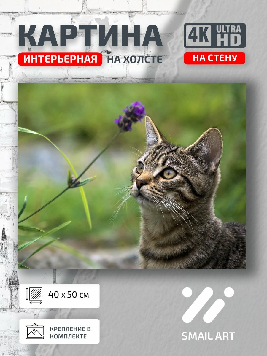 Картина на холсте интерьерная 40 на 50 на стену Уши Animal для кабинета animal style декор