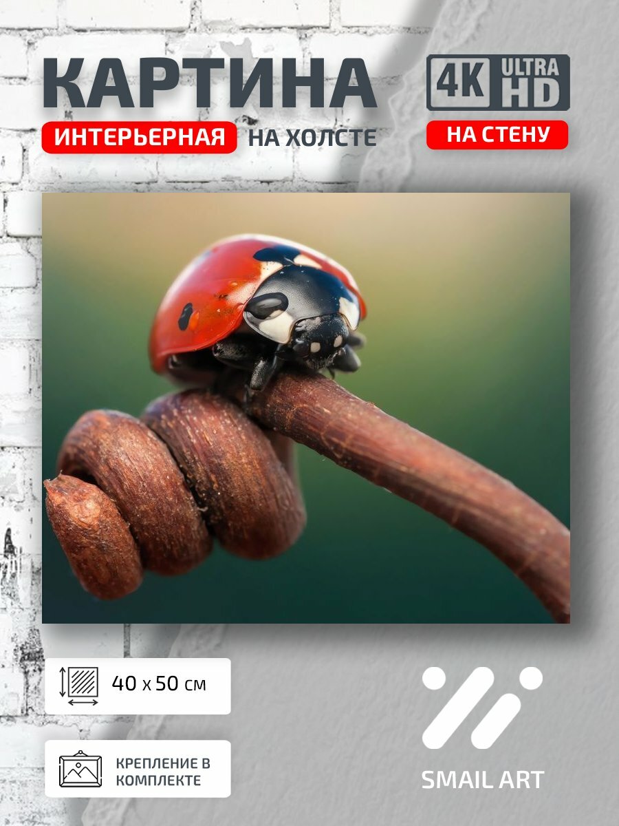 Картина на холсте интерьерная 40 на 50 на стену Ветка Macro для студии макро интерьер декор