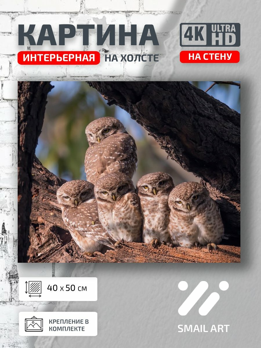 Картина на холсте интерьерная 40 на 50 на стену Дерево Landscape для офиса пейзаж интерьер