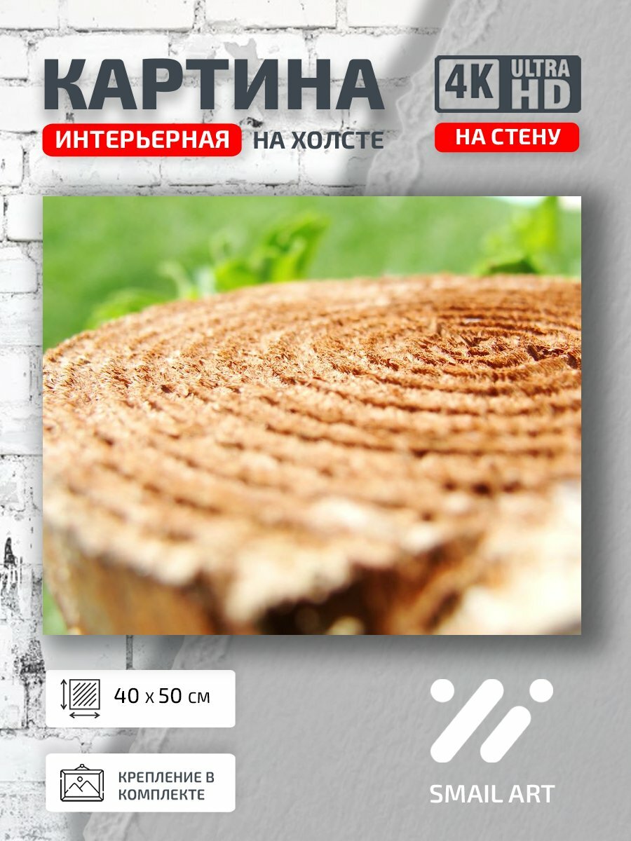 Картина на холсте интерьерная 40 на 50 на стену Дерево Landscape для кабинета пейзаж декор
