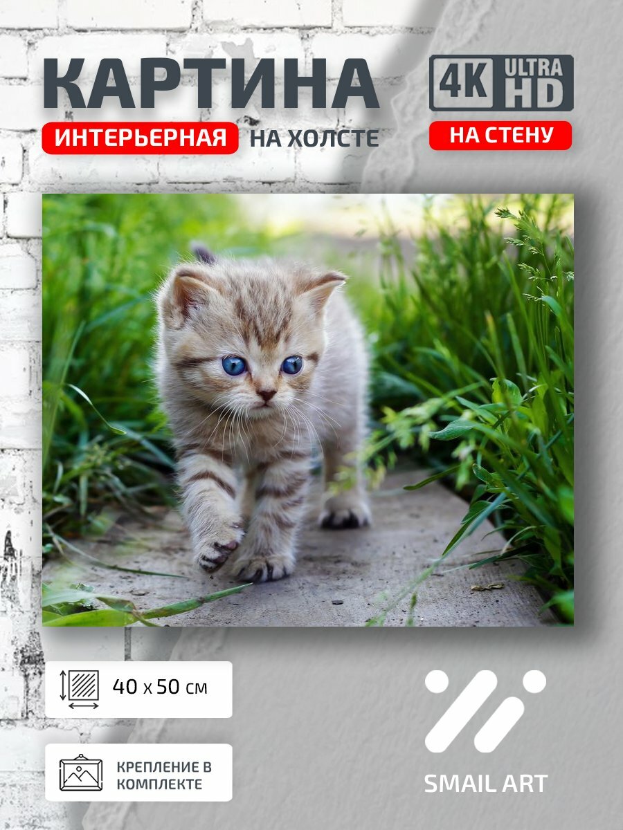 Картина на холсте интерьерная 40 на 50 на стену Кот Animal для кабинета animal style декор