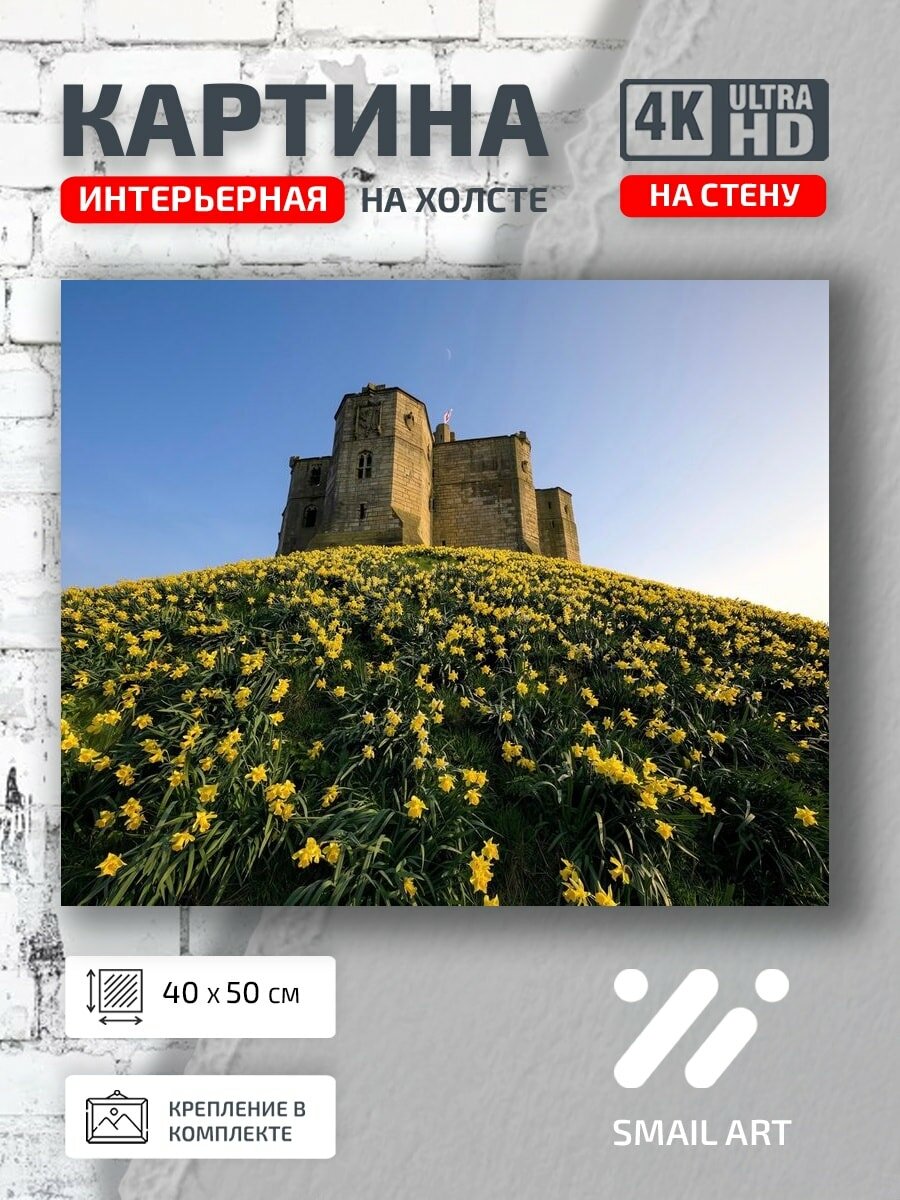 Картина на холсте интерьерная 40 на 50 на стену Разные Замок для студии атмосфера