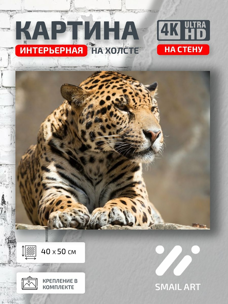 Картина на холсте интерьерная 40 на 50 на стену Камне Mood для студии атмосфера интерьер