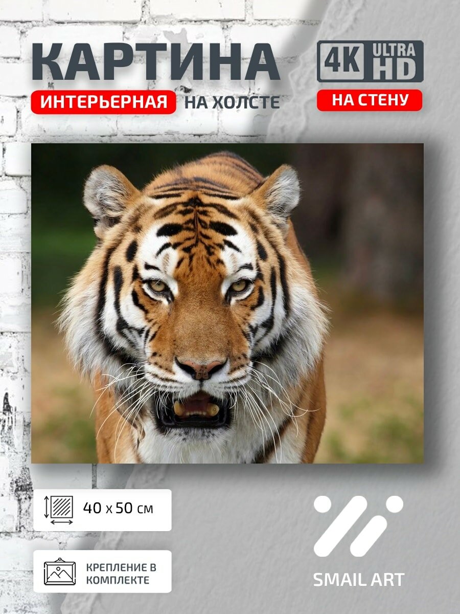 Картина на холсте интерьерная 40 на 50 на стену Животные тигр для офиса атмосфера