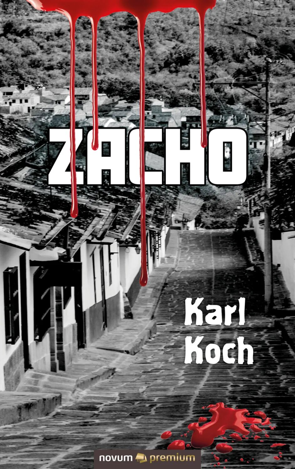 Zacho [Цифровая книга]