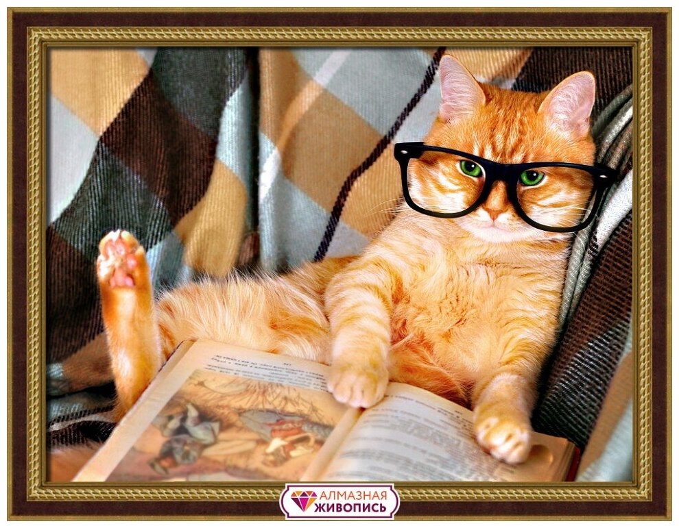 Набор Алмазная живопись #АЖ-1830 Кот за книжкой, Алмазная Мозаика, 40 х 30 см