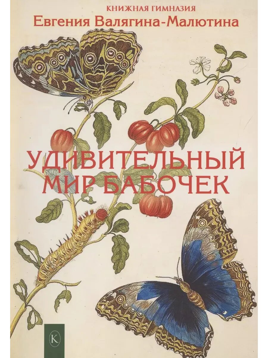 Удивительный мир бабочек