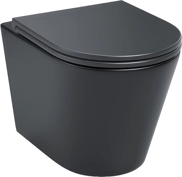 Унитаз подвесной IDDIS Calipso CALR3BMi25 антивсплеск, черный, без бачка, с боковым подводом воды, фарфоровый, безободковый