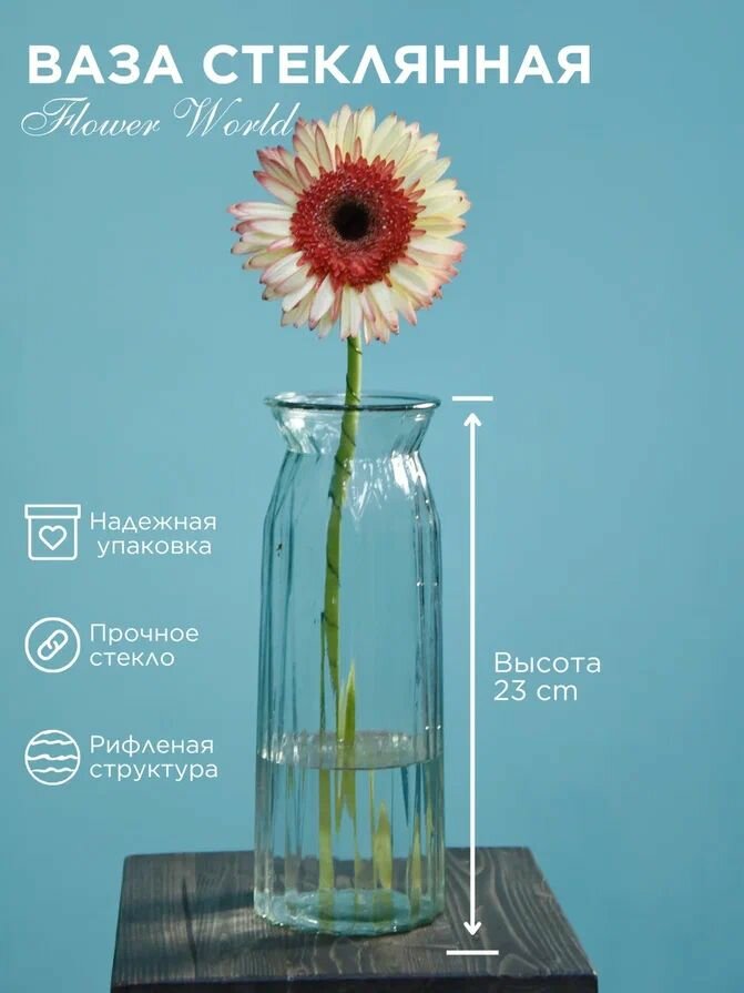 Ваза для цветов и сухоцветов стеклянная прозрачная декоративная 23 см на 10см "Цветочный мир"