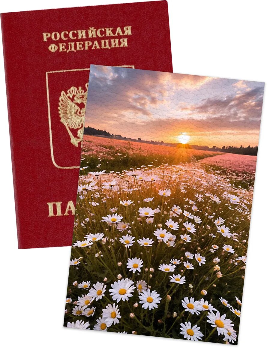 Обложка для паспорта