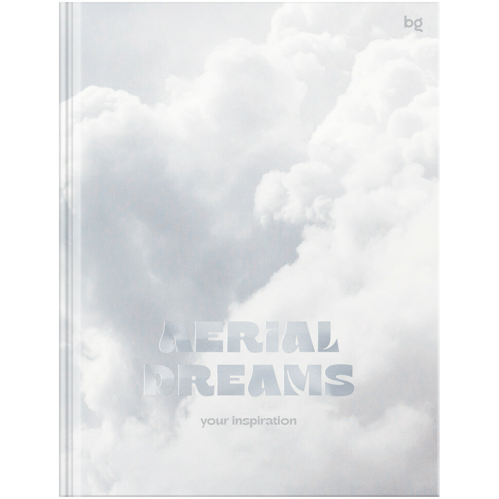 Бизнес-блокнот А5, 80л, BG "Aerial dreams", soft-touch ламинация, 370491