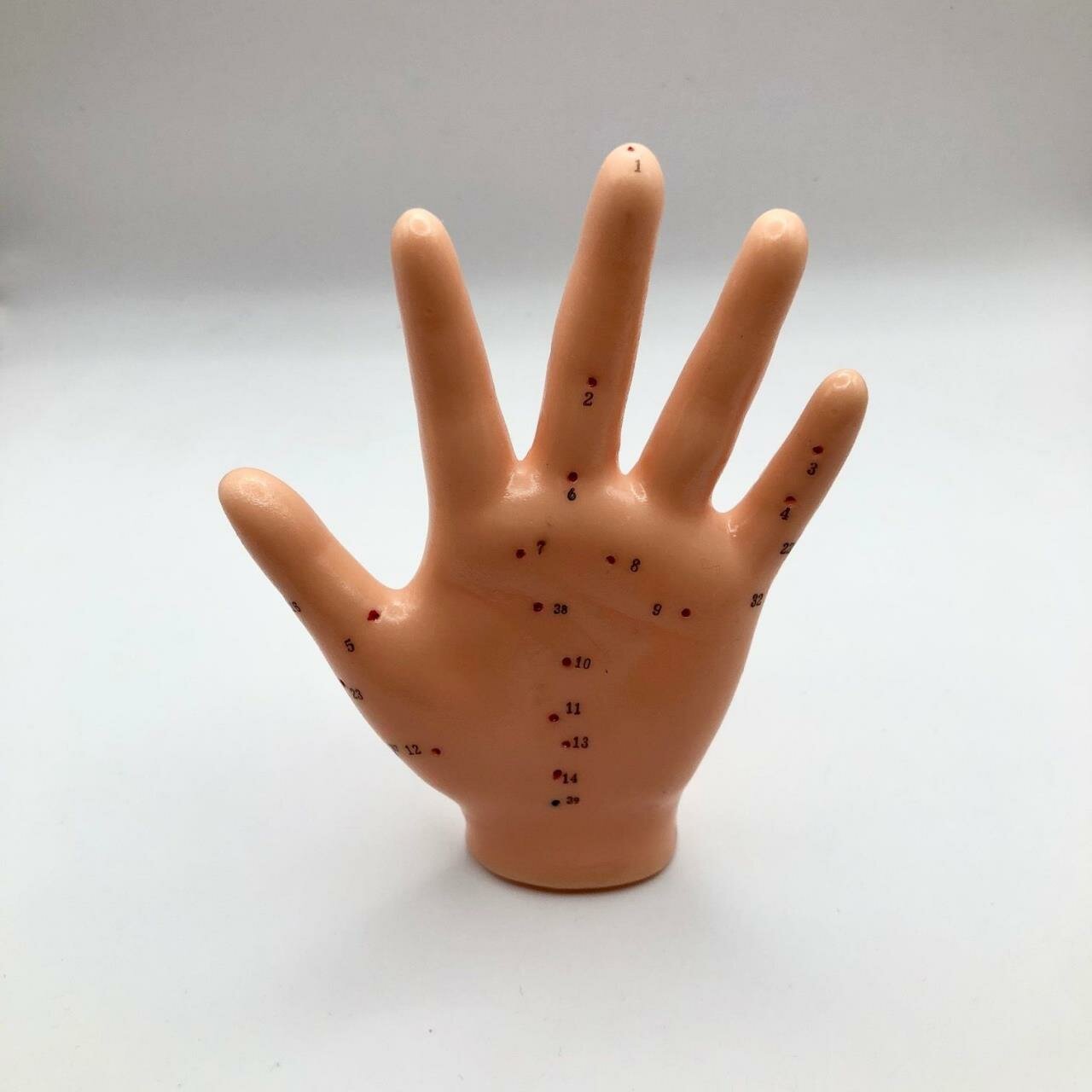 Кисть Просто Полезно "Кисть руки", для иглотерапии и анатомии, с акупунктурными точками, 13см