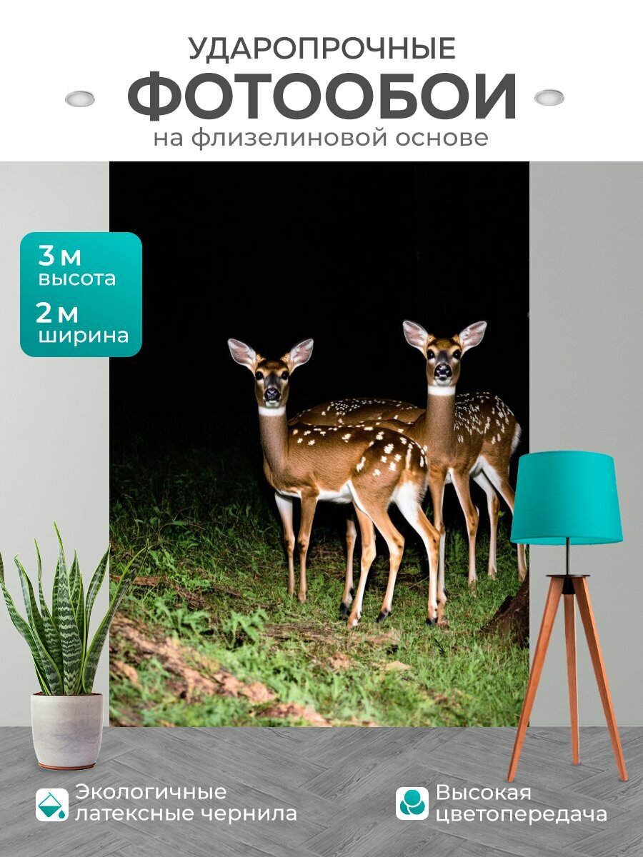 Фотообои моющиеся ударопрочные "Охота на мегалодонов в великих морях, загадочный подводный мир" 200x300 см. флизелиновые на стену