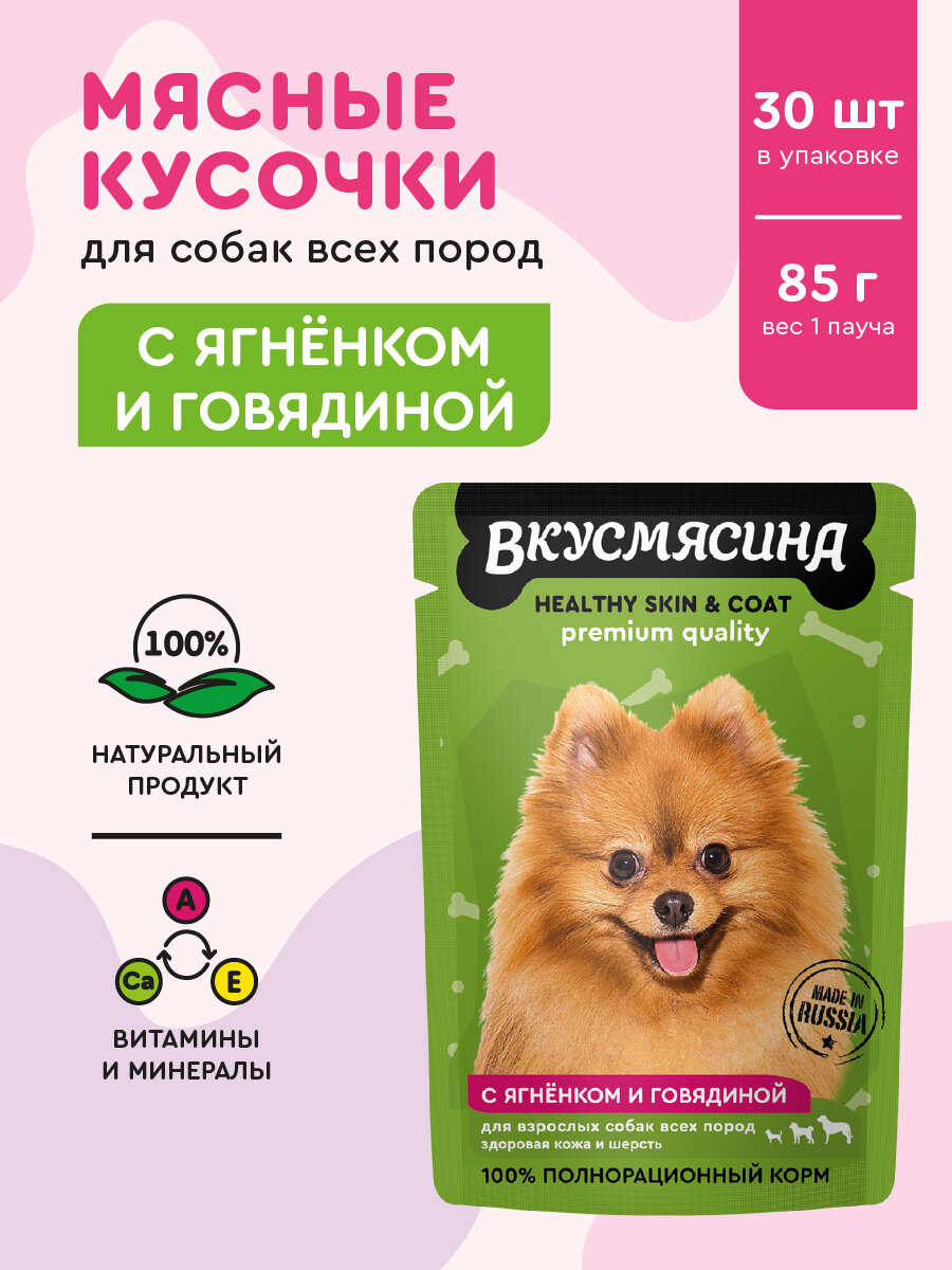 Корм для собак влажный вкусмясина, Кусочки с ягнёнком и говядиной в соусе, 85 г х 30 шт