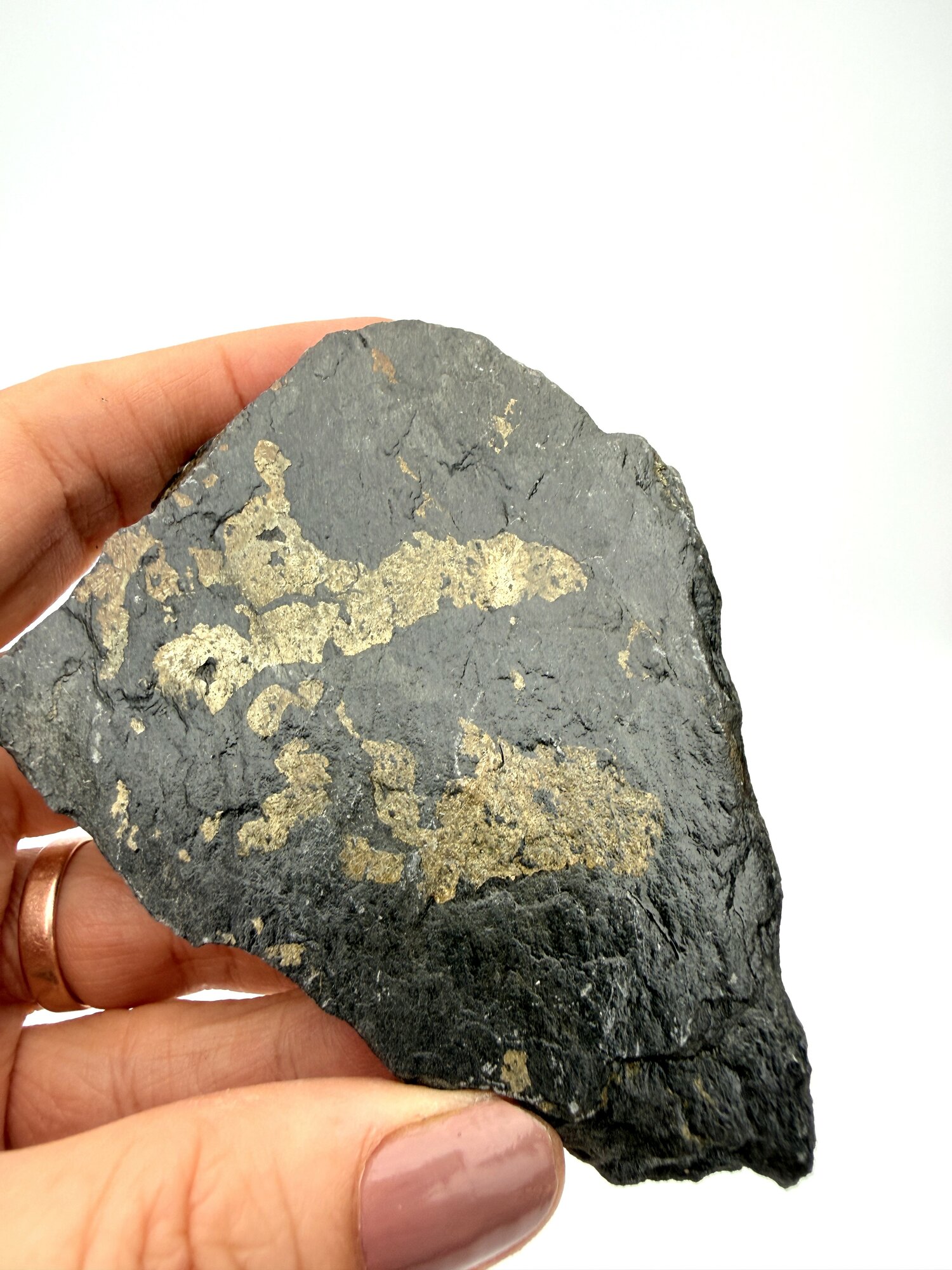 Пирит на сланцевой породе, КМА, образец в коллекцию минералов, 131 грамм