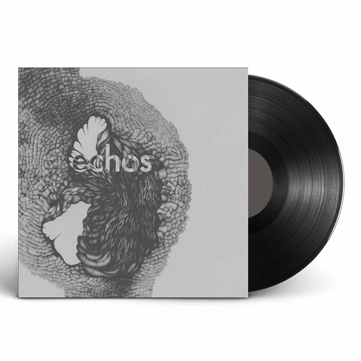 Виниловая пластинка Late Night Alumni - Echos / 4988005503664