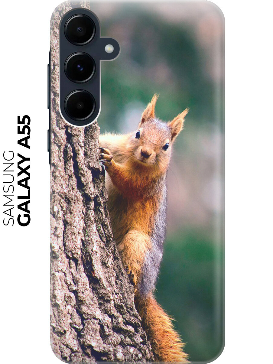 Силиконовый чехол на Samsung Galaxy A55 / Самсунг А55 с рисунком "Белочка"