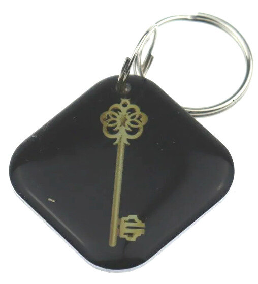 Ключ-брелок для домофона с классным изображением (перезаписываемый), T5577 EM4305, 125 кГц