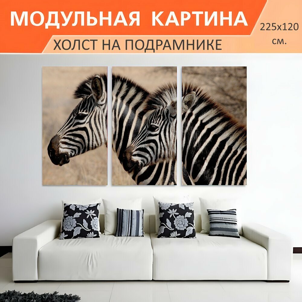 Модульная картина на холсте "Зебры, головы, полосы" триптих на подрамнике 225х120 см. для интерьера