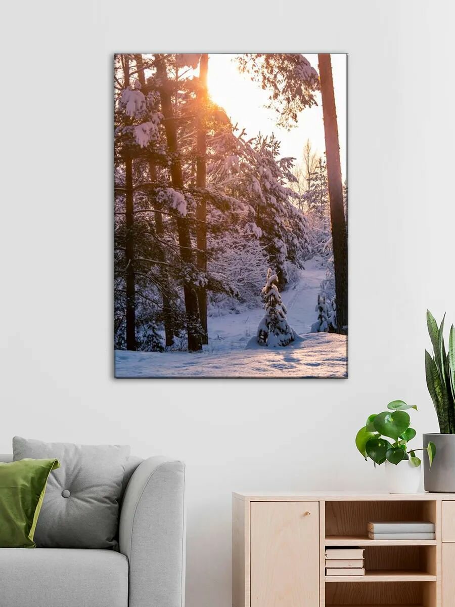 Картина на стену "Тайга", 50х70 см