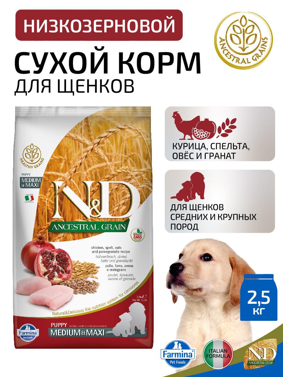 Сухой низкозерновой корм Farmina N&D Ancestral Grain Dog Puppy Medium&Maxi для щенков средних и крупных пород, с курицей, гранатом и спельтой, 2,5 кг