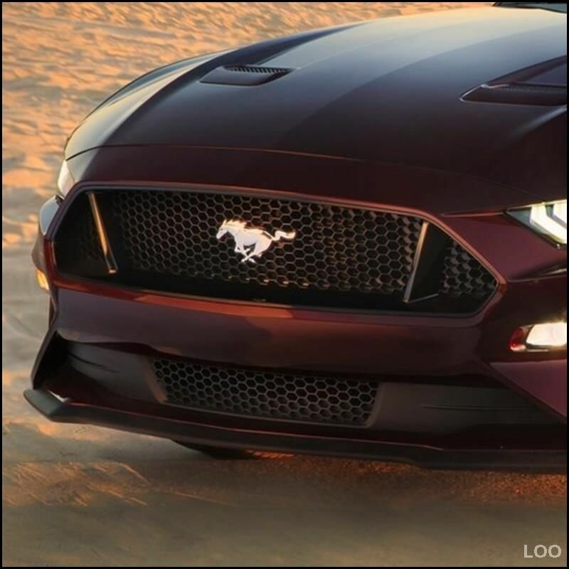 Эксклюзивная металлическая эмблема для передней решетки Ford Mustang-LOO