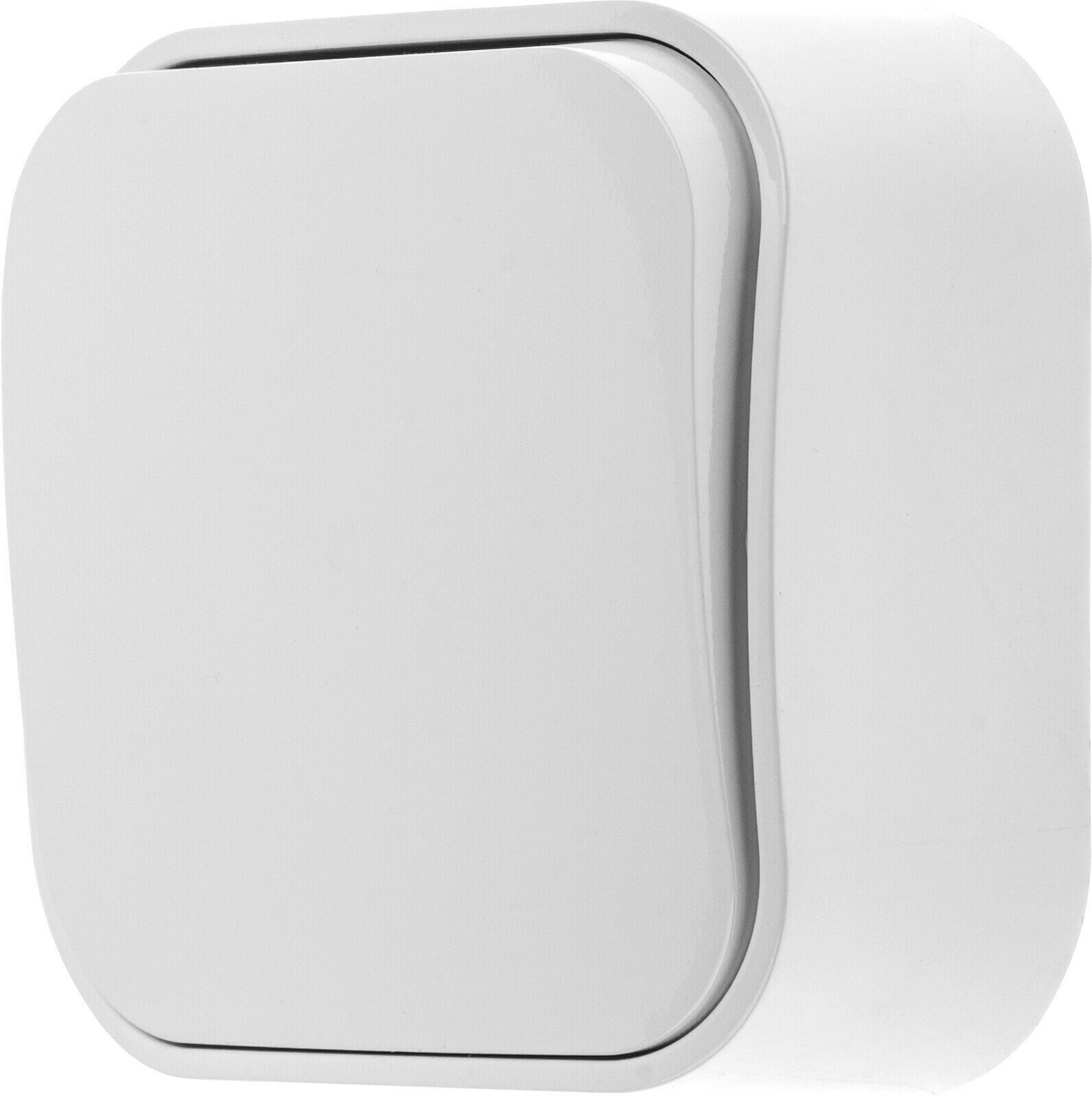 Выключатель 1 клав. (открытый, 10А) белый, Bailly, LEIDEN ELECTRIC (806001)