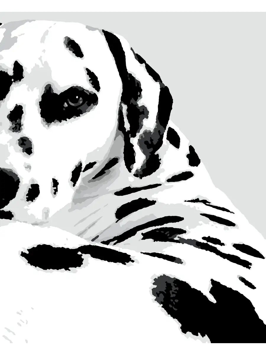 Картина по номерам Далматинец 40х50 см