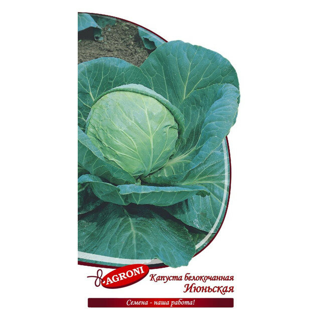 Семена белокочанной капусты Июньская агрони 0,5 г ранний сорт для открытого грунта