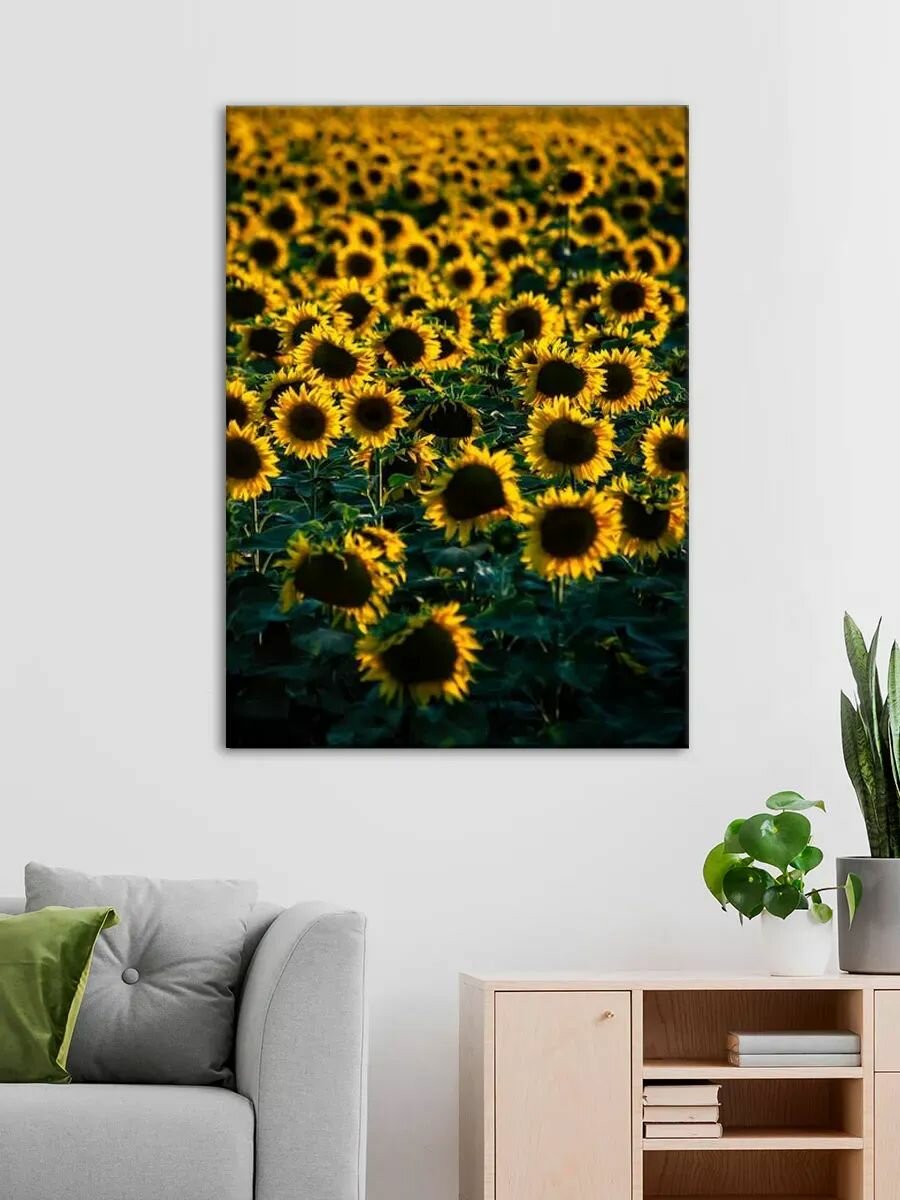 Картина на стену "Подсолнухи", 30х40 см