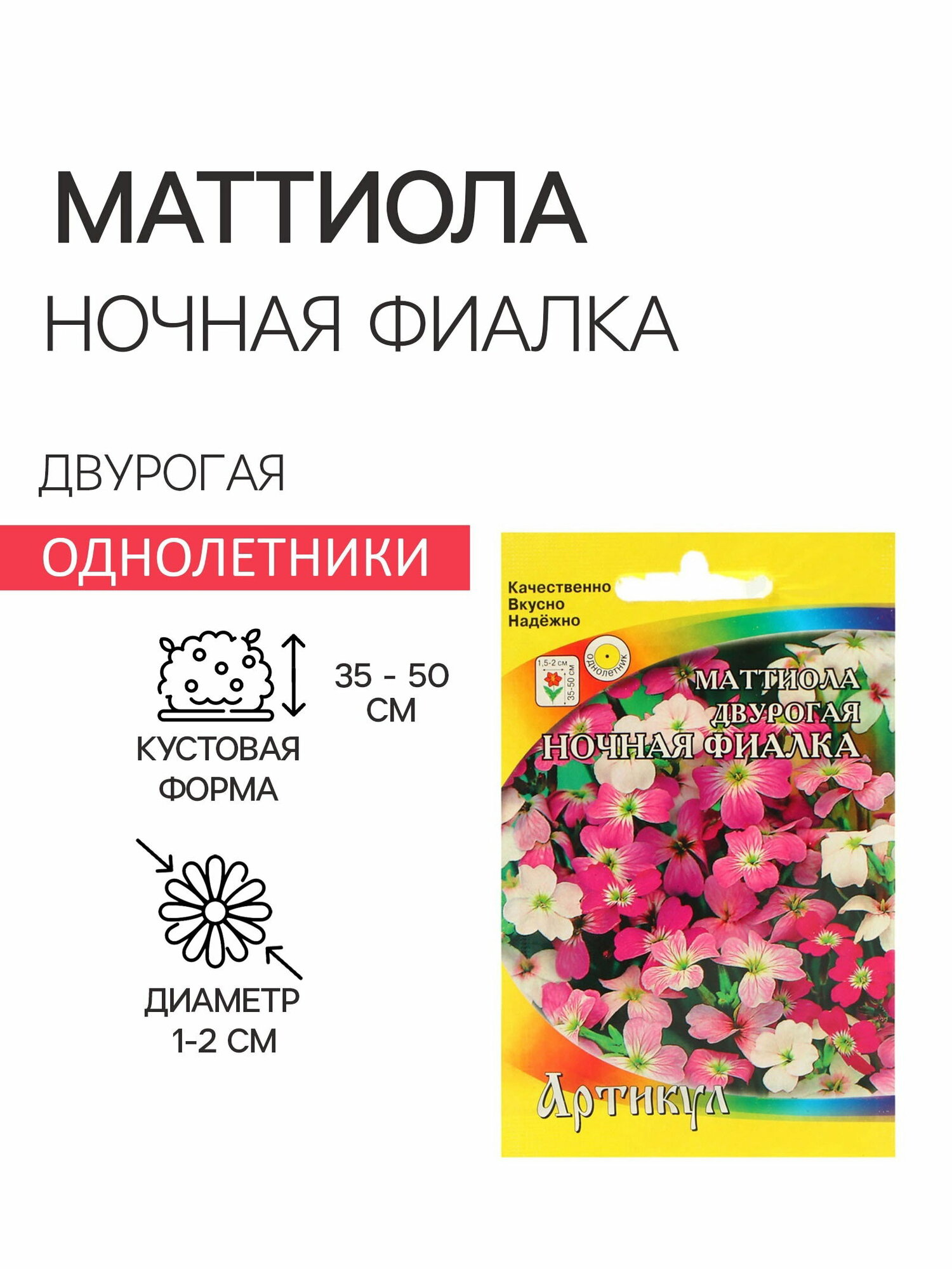 Семена цветов Маттиола двурогая "Ночная Фиалка", О, 0.3 г, цветение период: август, 4 шт.