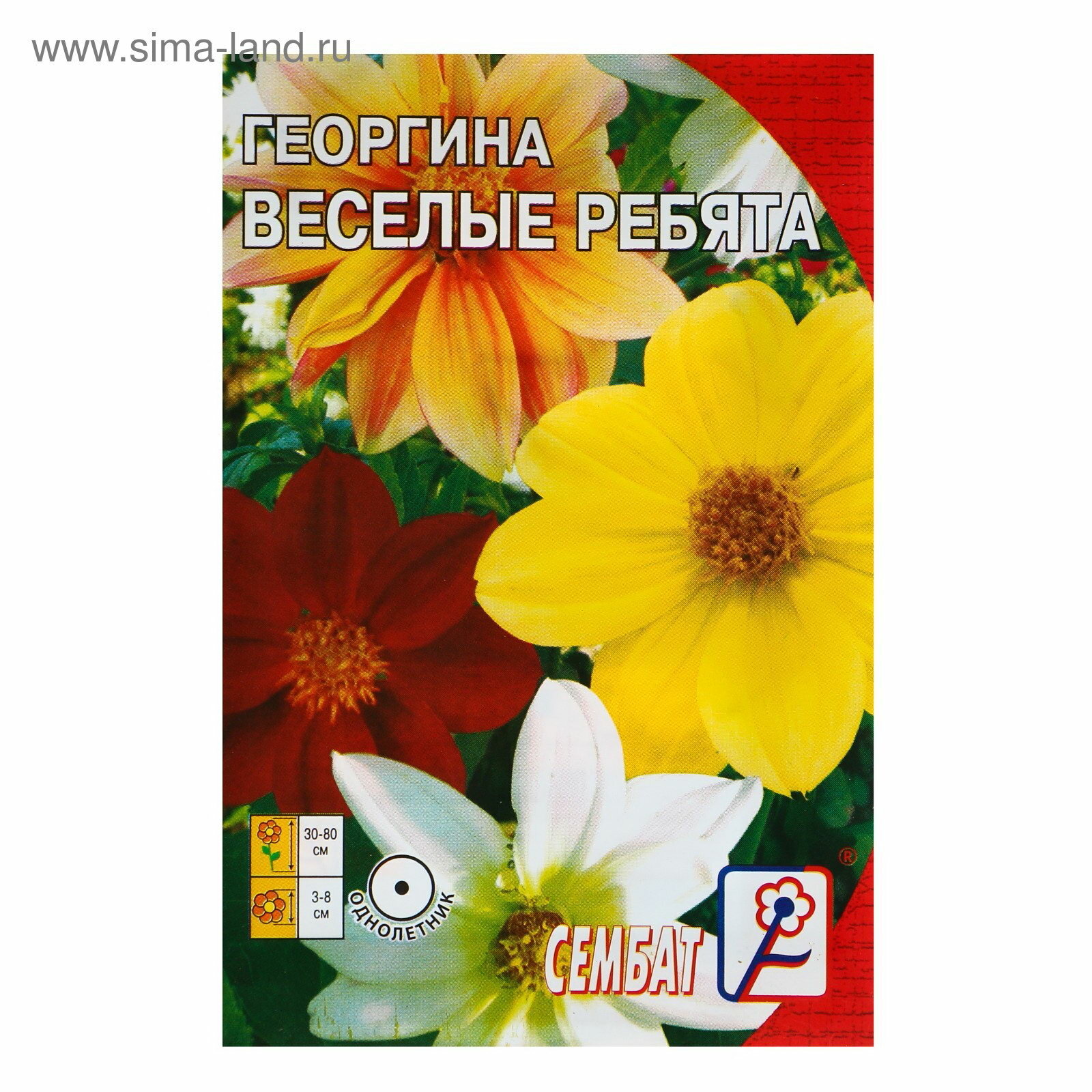 Семена цветов Георгина "Веселые ребята", О, 0.1 г, назначение: для балкона, веранды, 3 шт.