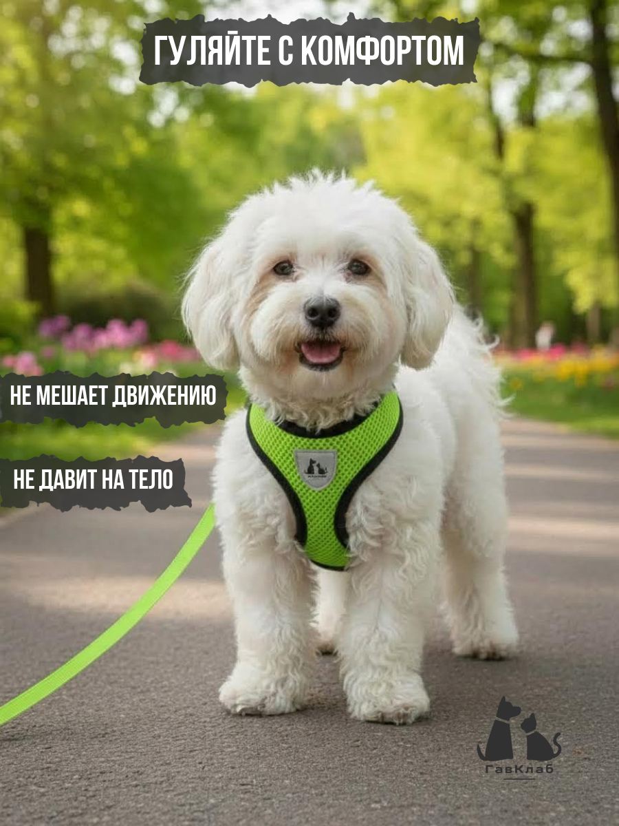 Шлейка для собак — фото 1