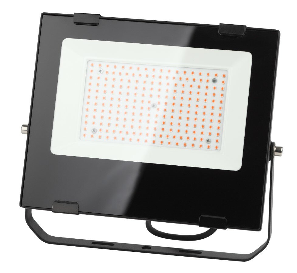 Прожектор светодиодный ЭРА FITO для растений 100W, 160 мкмоль/с фито красно-синий 285x240x50 7790