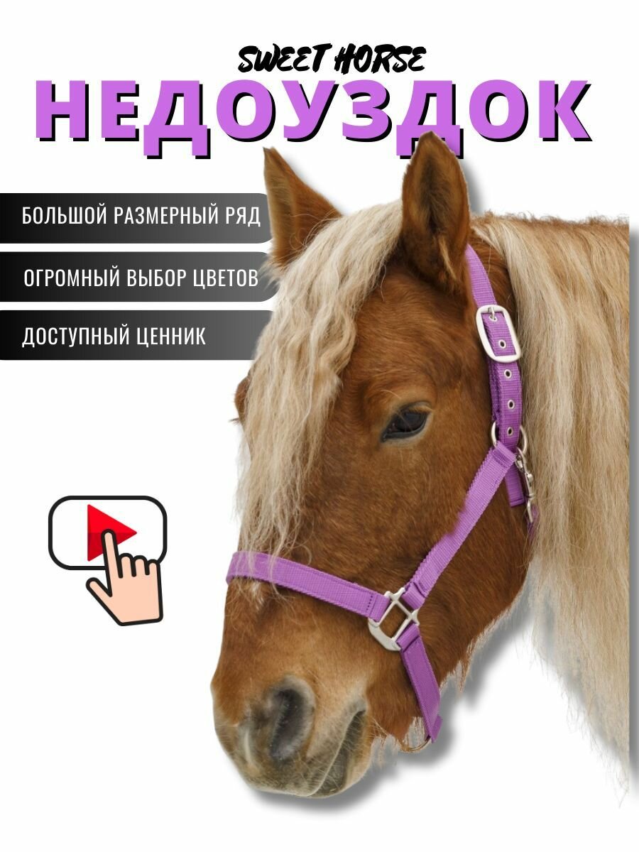Sweethorse / Недоуздок для лошади и пони, размер FULL, фиолетовый