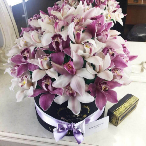 Букет Venus in Fleurs, орхидеи бело-фиолетовые, 25 штук, круглый, в коробке