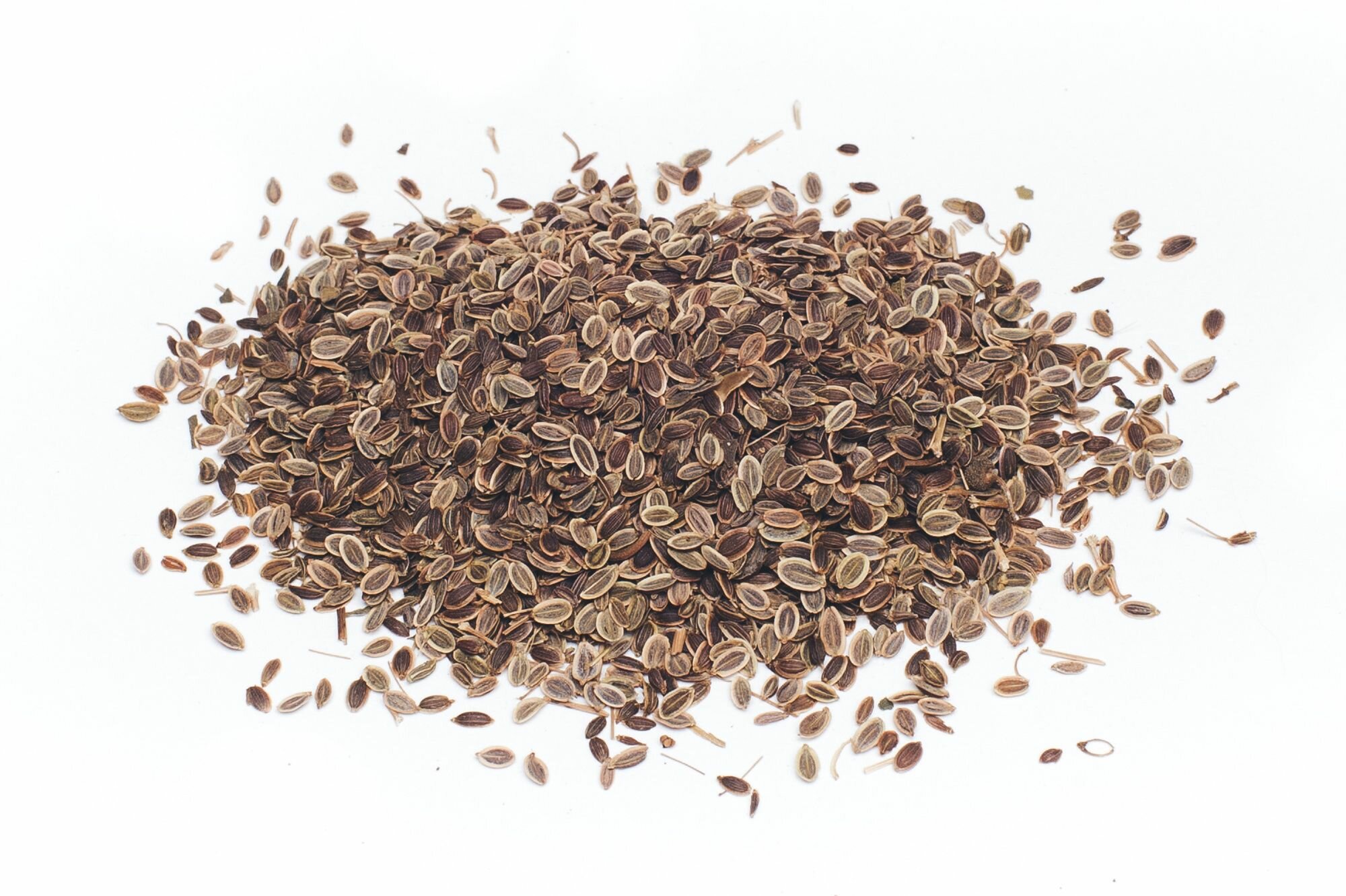 Укроп семена 1 кг